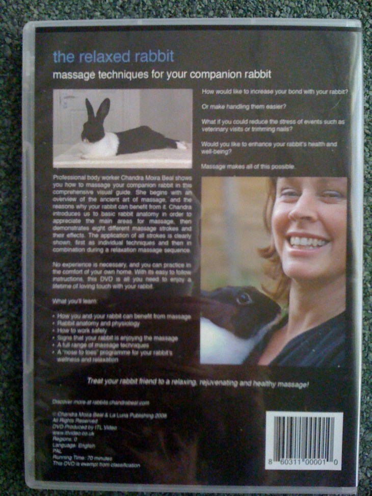 Des massages pour détendre son lapin – Comportement du lapin de compagnie